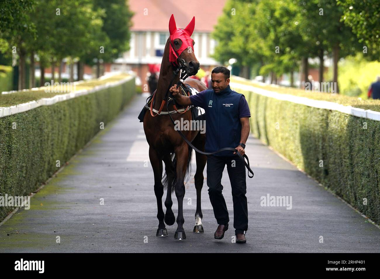 Highclere horse hi-res stock photography and images - Alamy