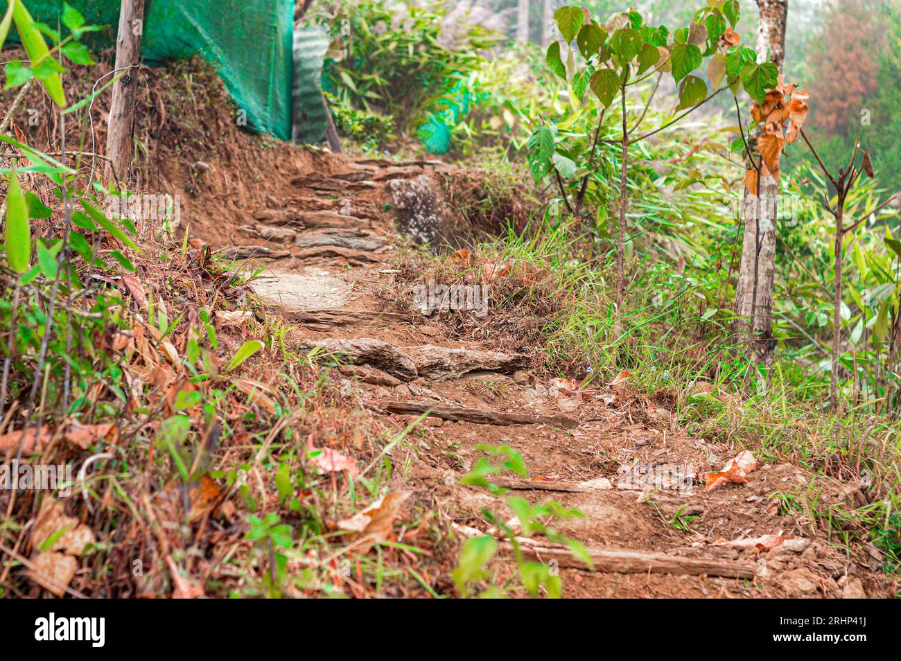 A narrow path leading uphill on a mountain Stock Photo - Alamy
