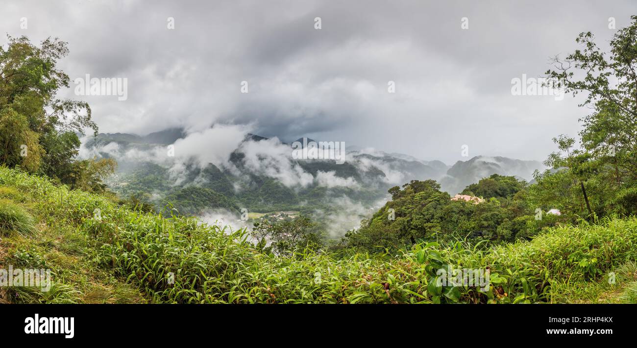Rainforest during rain storm hi-res stock photography and images - Alamy