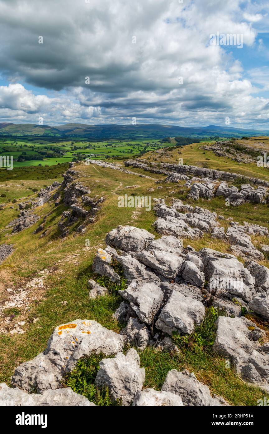 Limestone pavements on Farleton Fell above Burton-in-Kendale, Cumbria ...