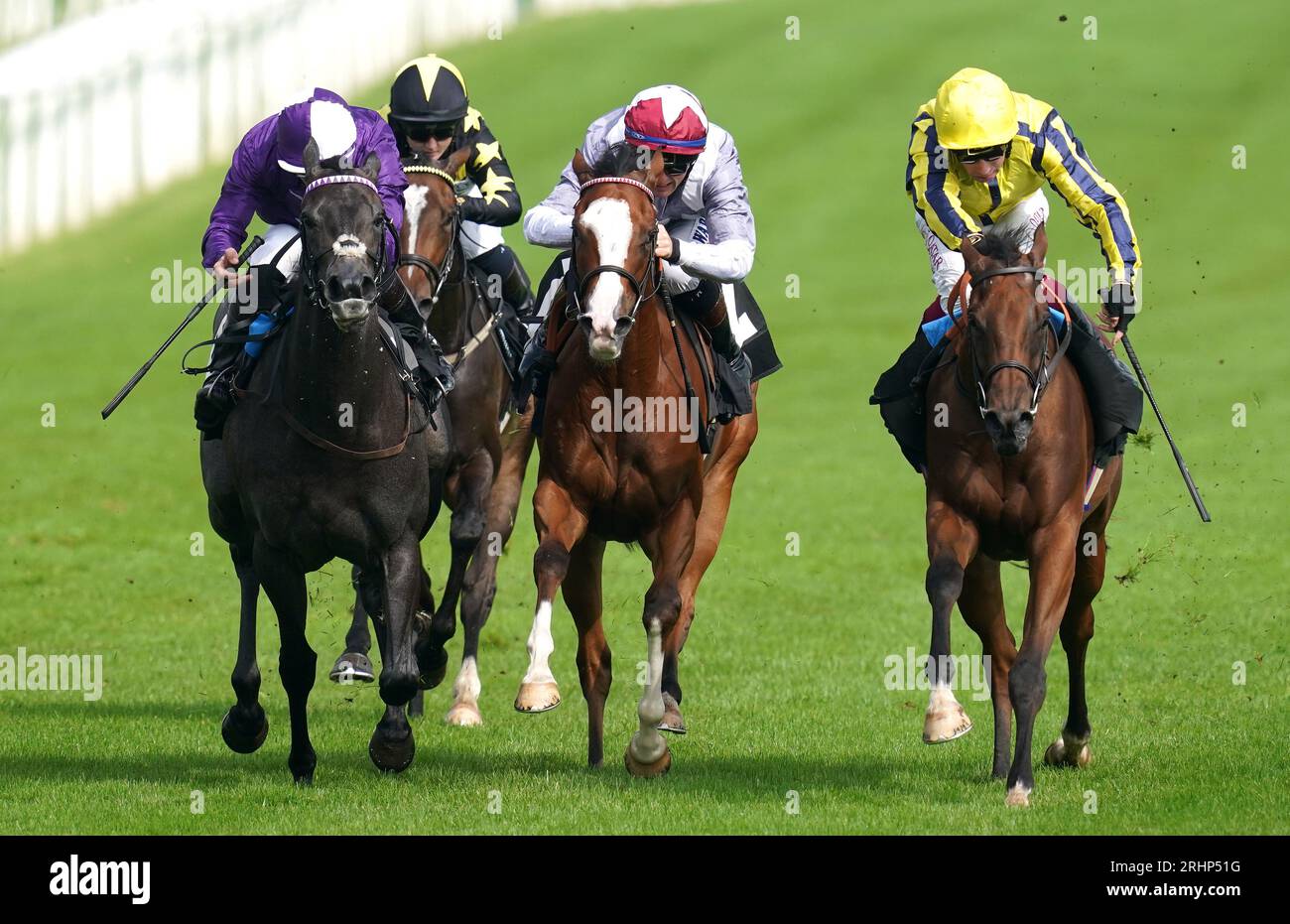 Miaharris horse hi-res stock photography and images - Alamy