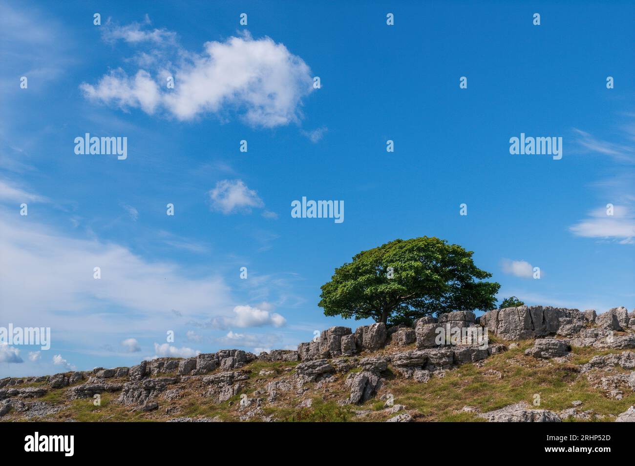 Kendal countryside hi-res stock photography and images - Alamy