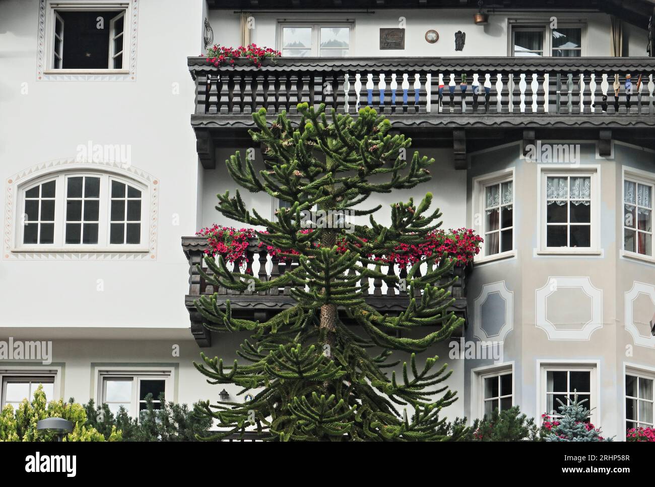 Val noce hi-res stock photography and images - Alamy