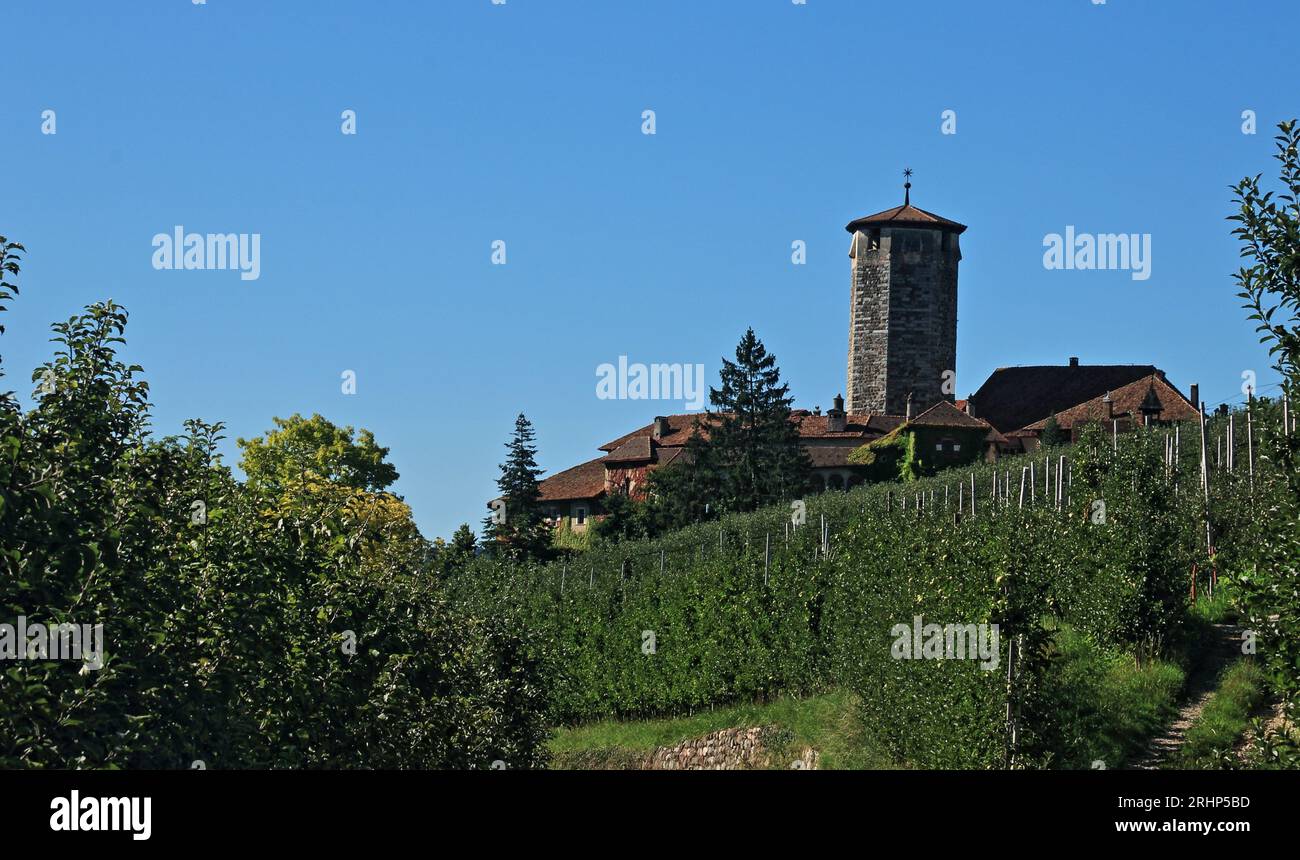 Non castle rooms hi-res stock photography and images - Alamy