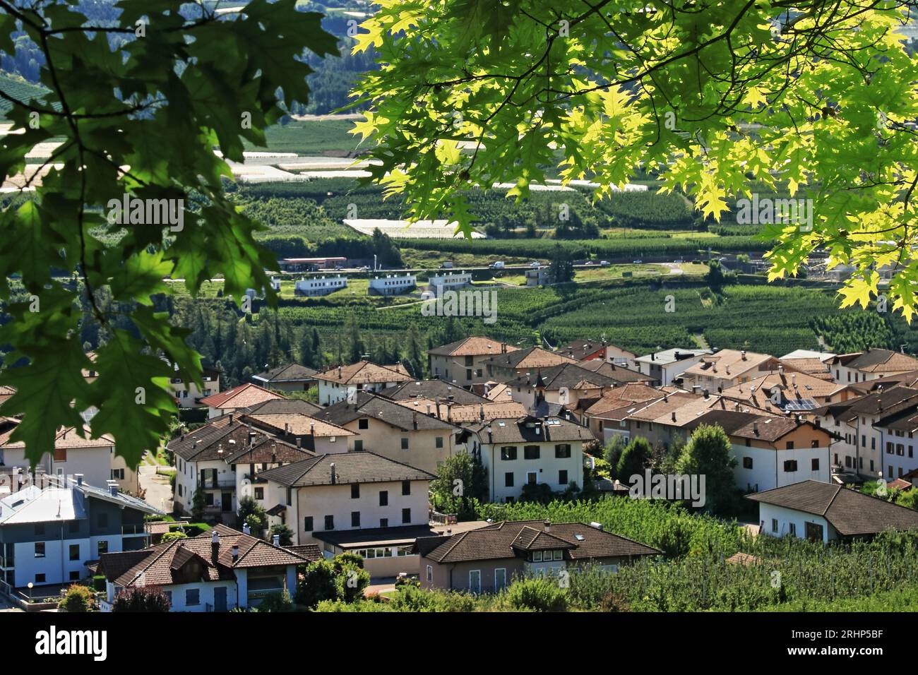 The landscape of Val di Non in Northern Italy Stock Photo - Alamy
