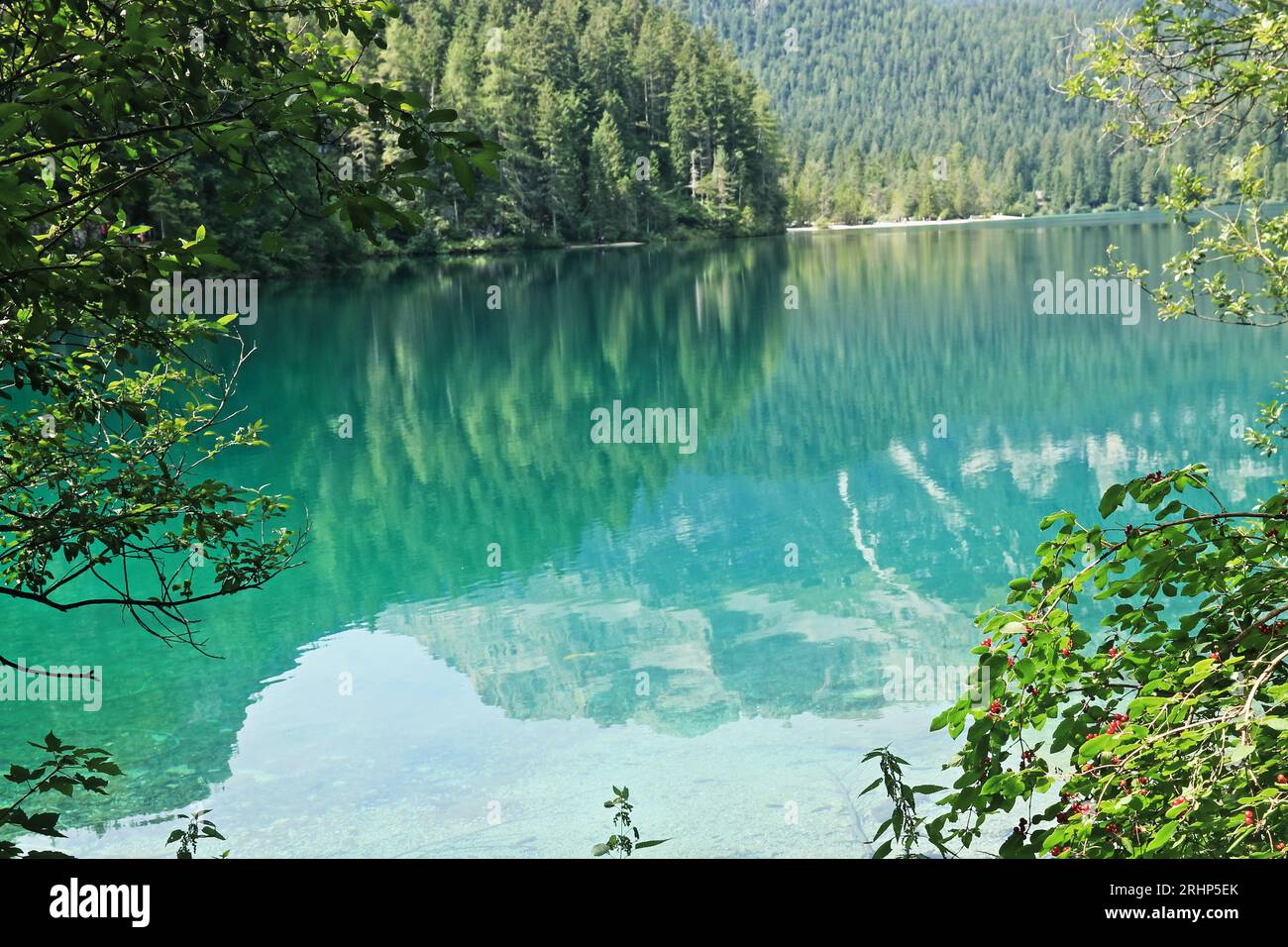 Lake of Tovel in Val di Non, Northern Italy Stock Photo - Alamy
