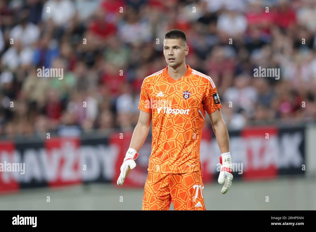 Dominik takac hi-res stock photography and images - Alamy