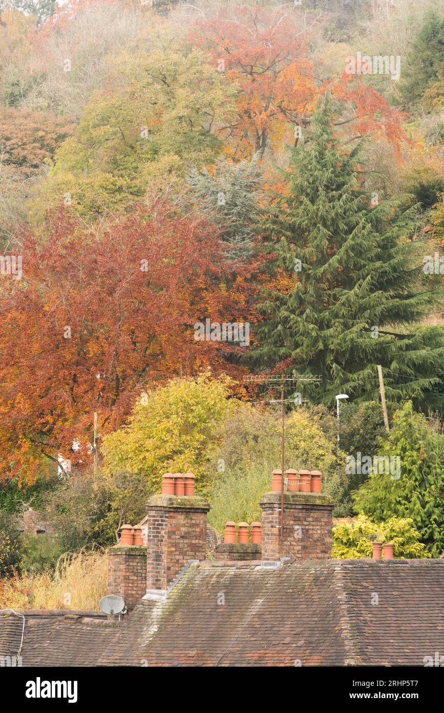 Natural, deciduous woodland growing on the steep slopes of the ...