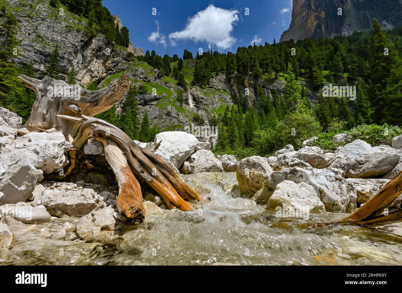 17 July 2023, Italy, Wolkenstein: A small mountain stream in the ...
