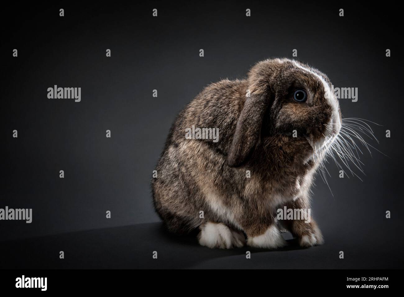 Seated sideview side view hi-res stock photography and images - Alamy