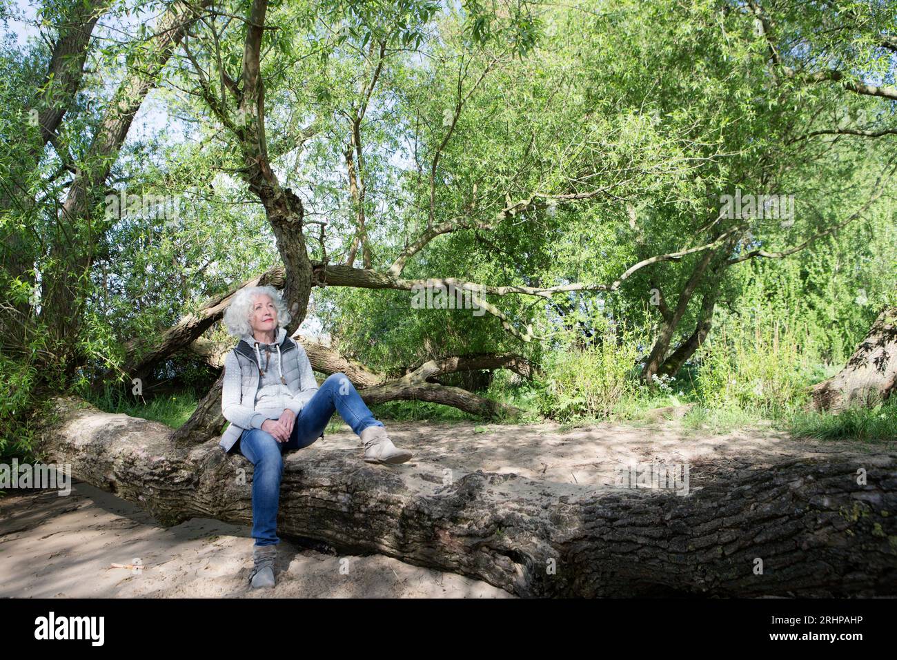Woman close trunk white hi-res stock photography and images - Alamy