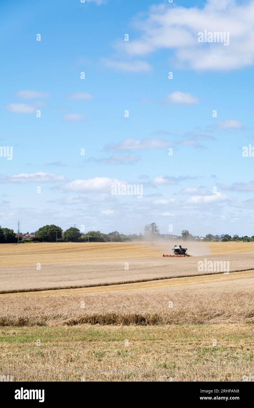 Combine harvester reaping a wheat crop, Cherry Willingham, Lincolnshire ...