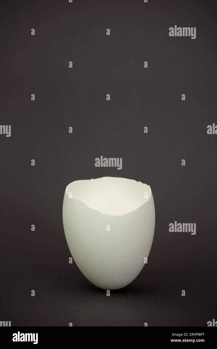 Blank eggshell hi-res stock photography and images - Alamy