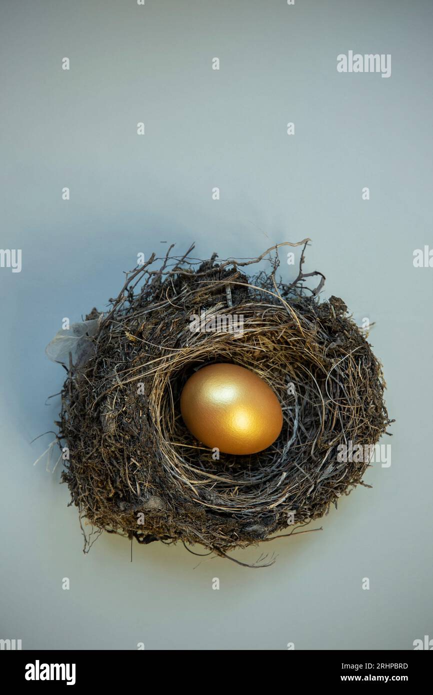 Egg in nest Stock Photo - Alamy