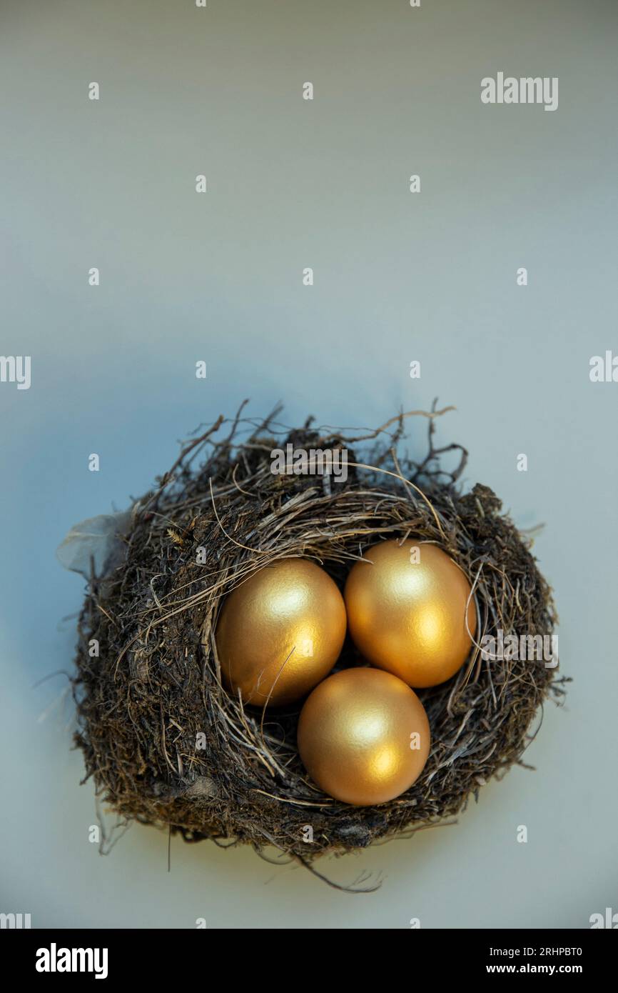 Successful nest hi-res stock photography and images - Alamy