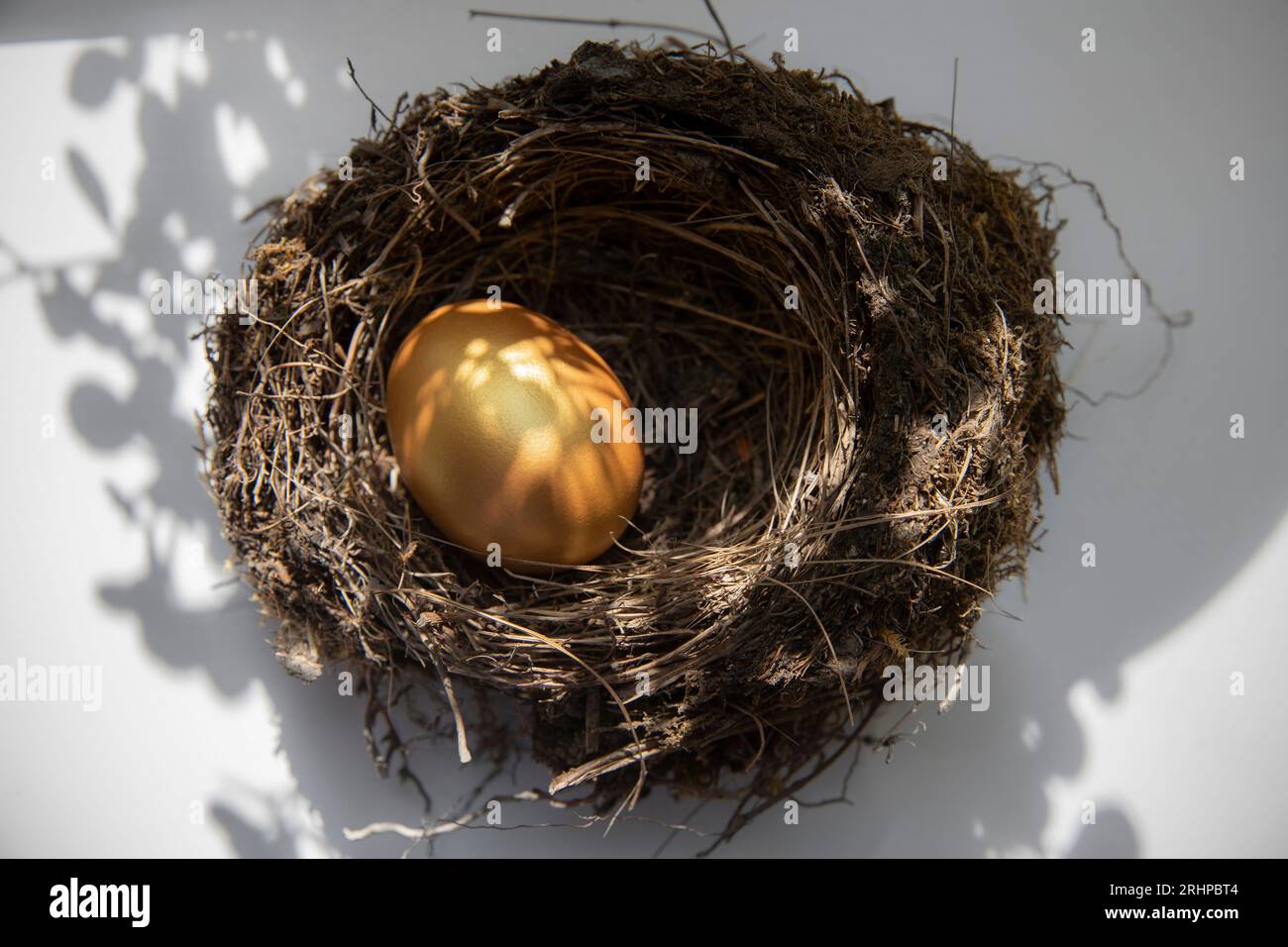 Shades nest hi-res stock photography and images - Alamy
