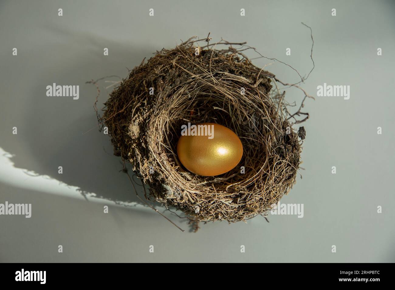 Egg in nest Stock Photo - Alamy