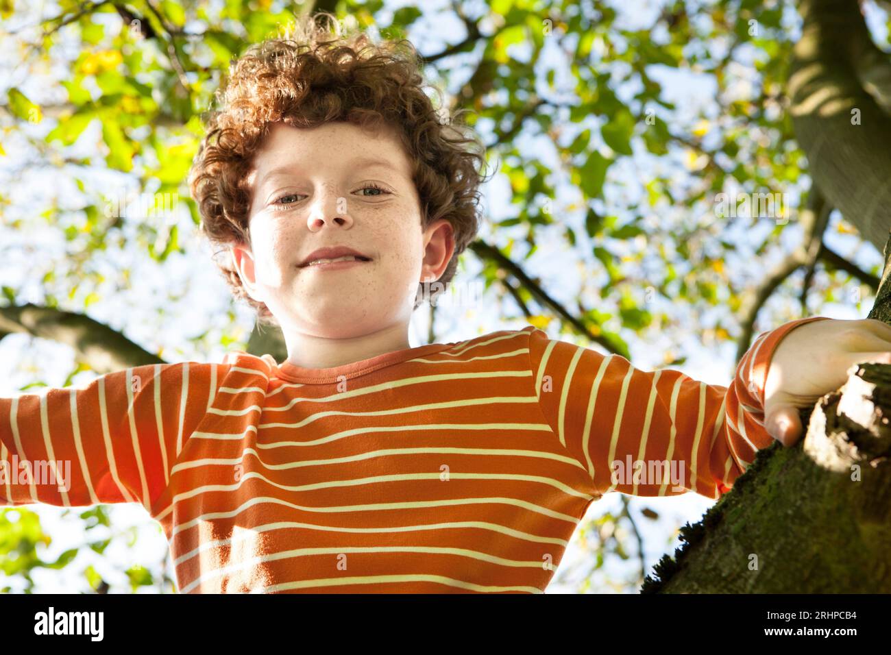 Boy in tree Stock Photo - Alamy