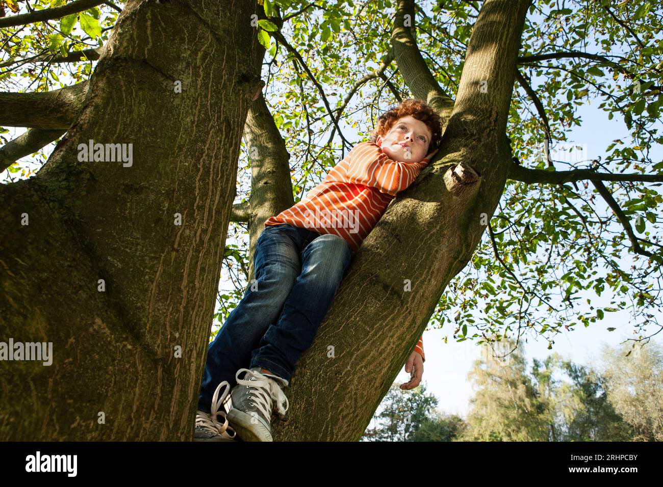 Tree 10 12 years hi-res stock photography and images - Alamy