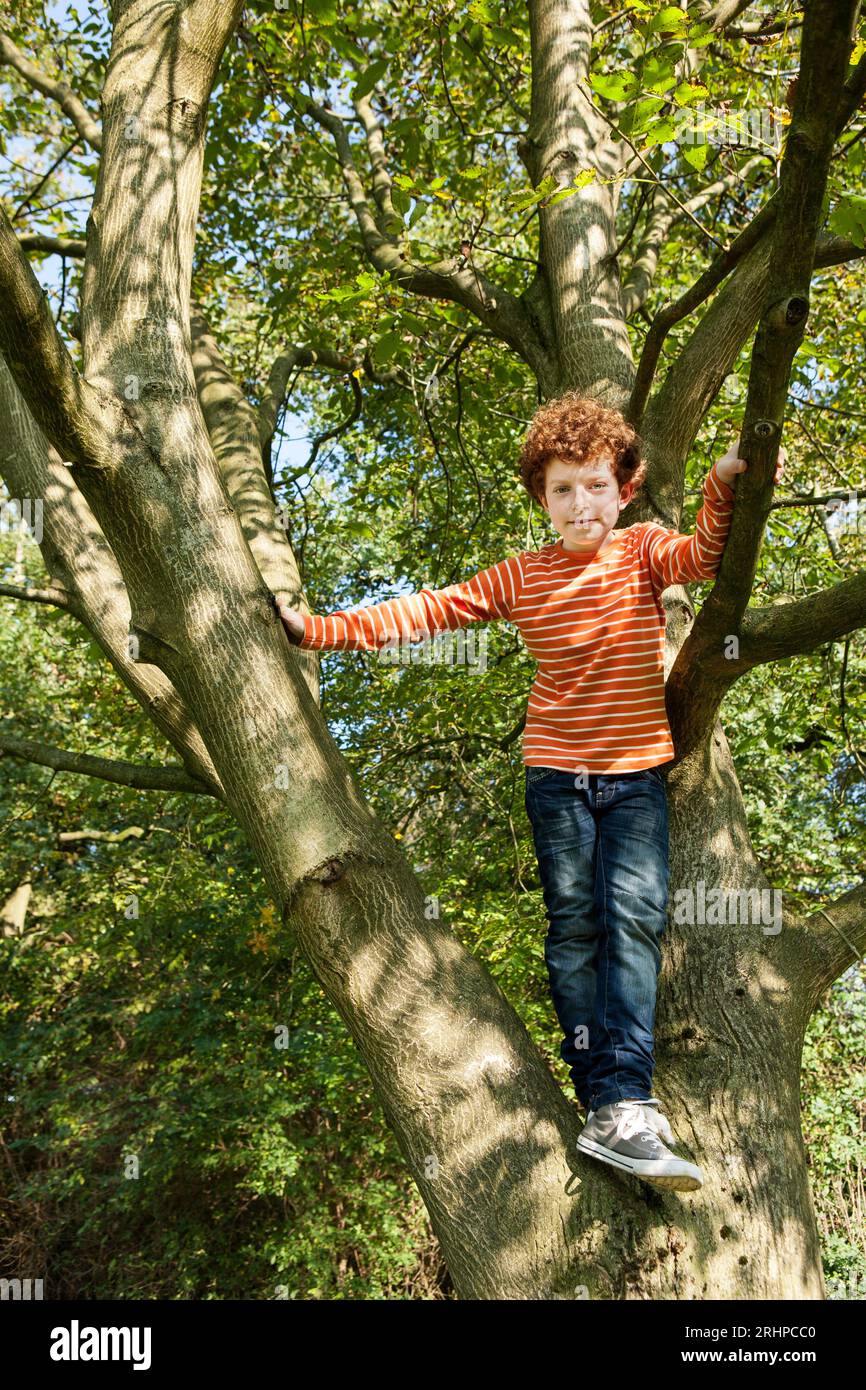 Boy climbs tree Stock Photo - Alamy