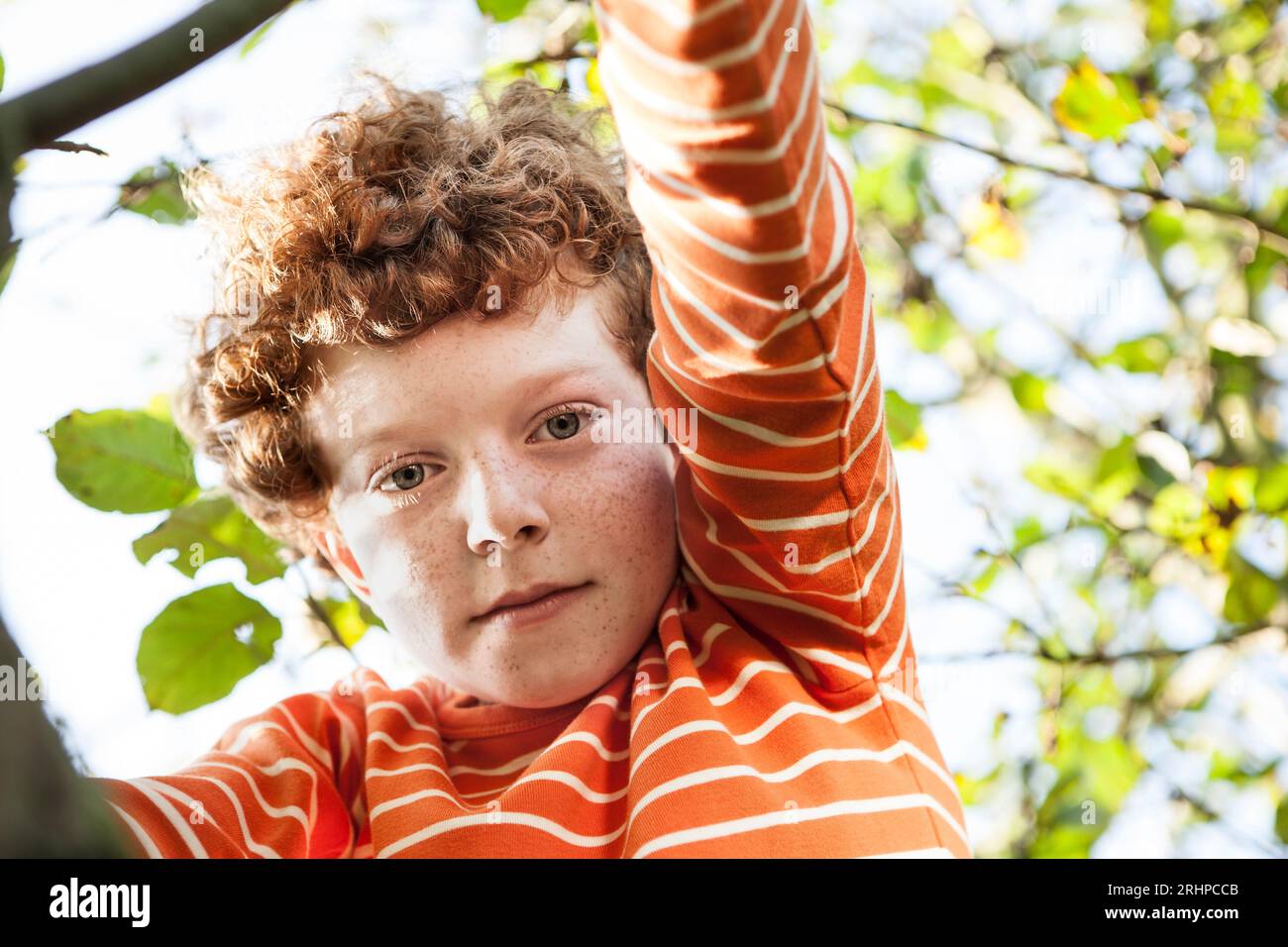 Boy in tree Stock Photo - Alamy