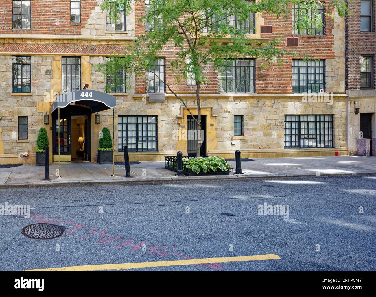 1931 turtle hi-res stock photography and images - Alamy