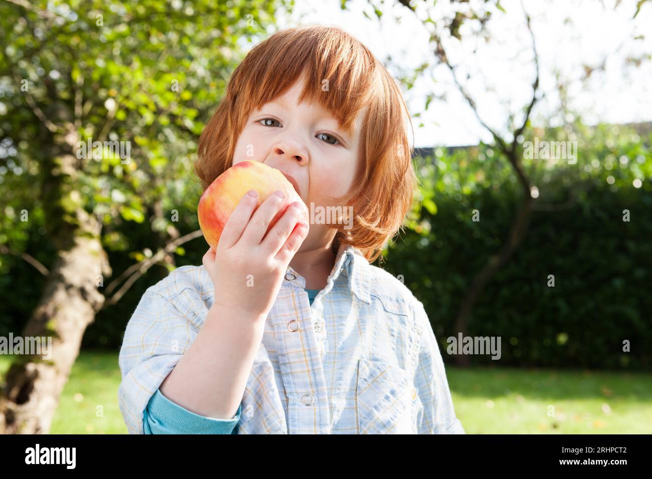 Child biting apple hi-res stock photography and images - Alamy