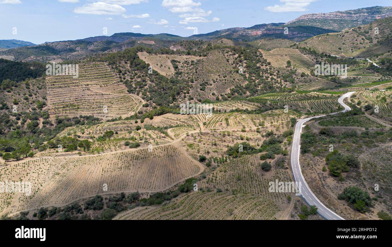 Aerial view of vineyards in the Priorat appellation of origin area in ...