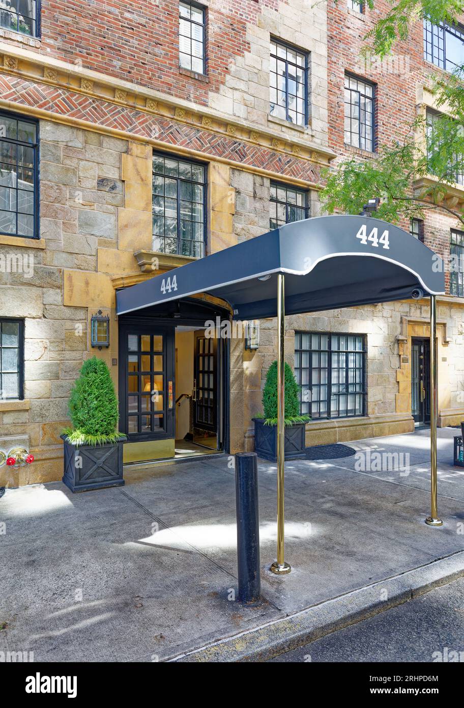 1931 turtle hi-res stock photography and images - Alamy