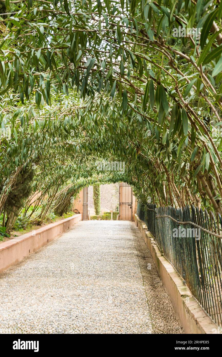 Spain, Andalusia, Granada, Alhambra, Generalife, Summer Palace and ...