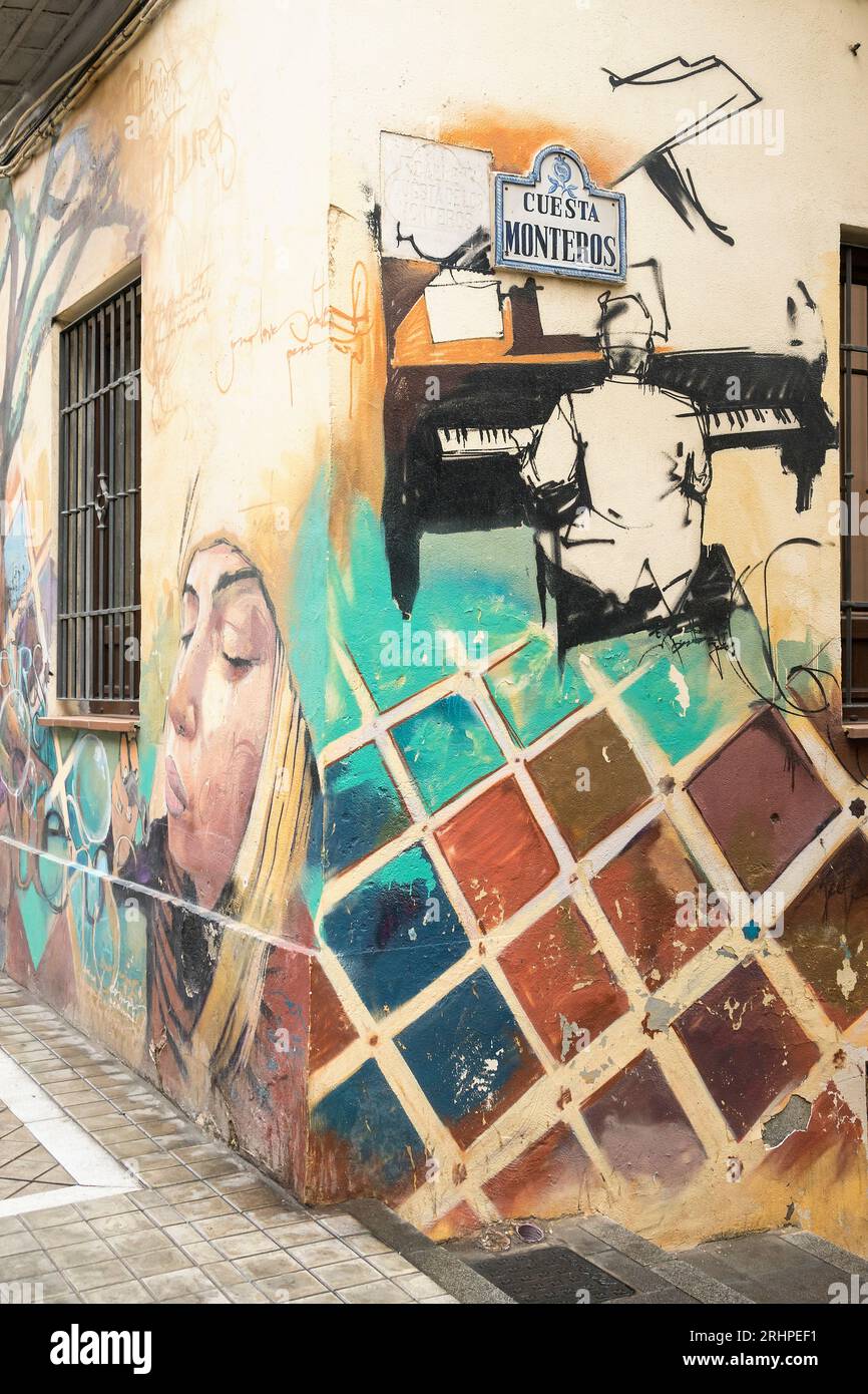 Spain, Andalusia, Granada, Realejo, street art, graffiti, artist: Raul ...