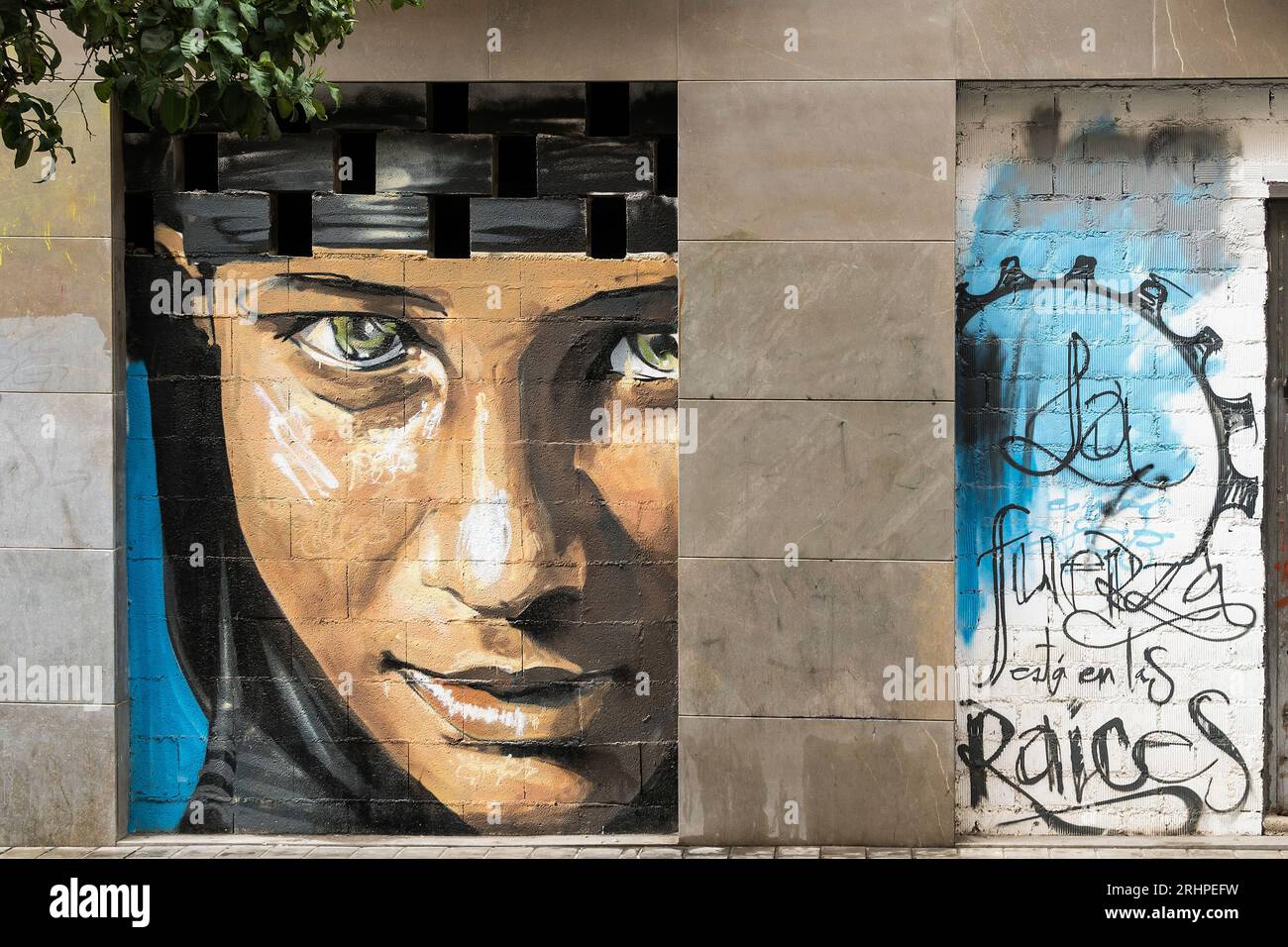 Spain, Andalusia, Granada, Realejo, Streetart, Graffiti, Artist: Raul ...