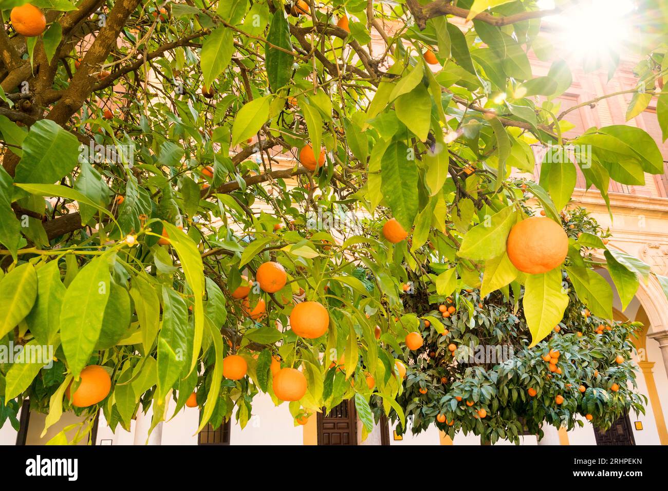Spain, Andalusia, Granada, Sacromonte, Abadia del Sacromonte, abbey ...