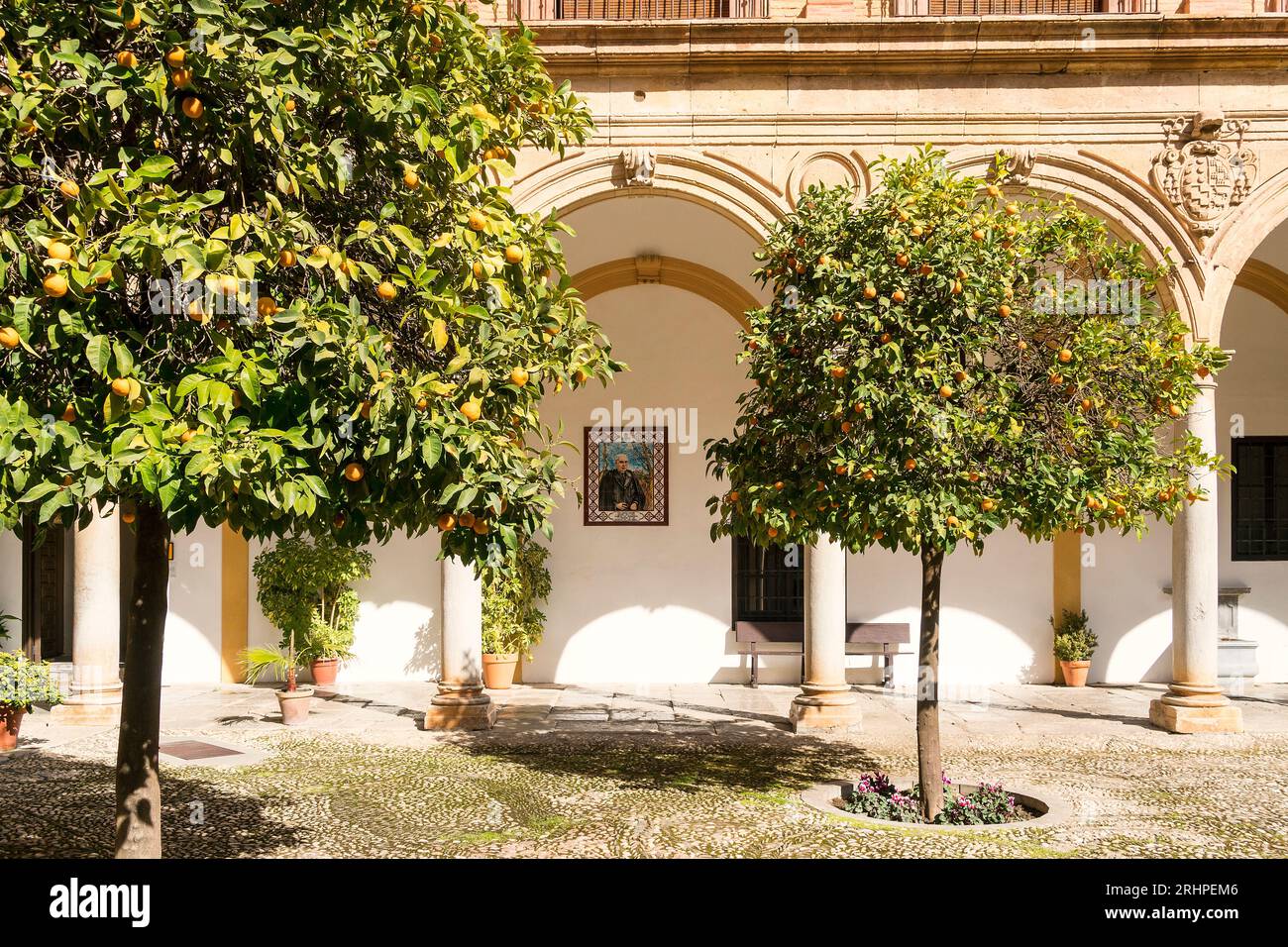 Spain, Andalusia, Granada, Sacromonte, Abadia del Sacromonte, abbey ...