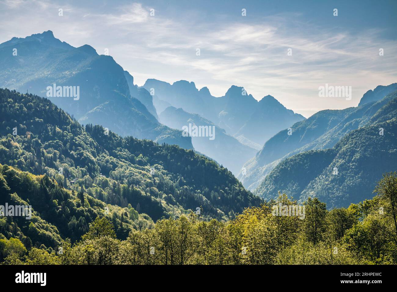 Alpine biome hi-res stock photography and images - Alamy