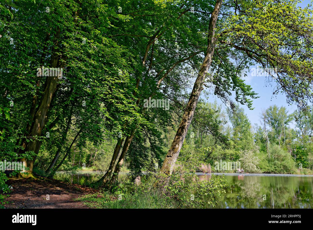 Europe, Germany, North Rhine-Westphalia, Rhein-Erft-Kreis, Erftstadt ...
