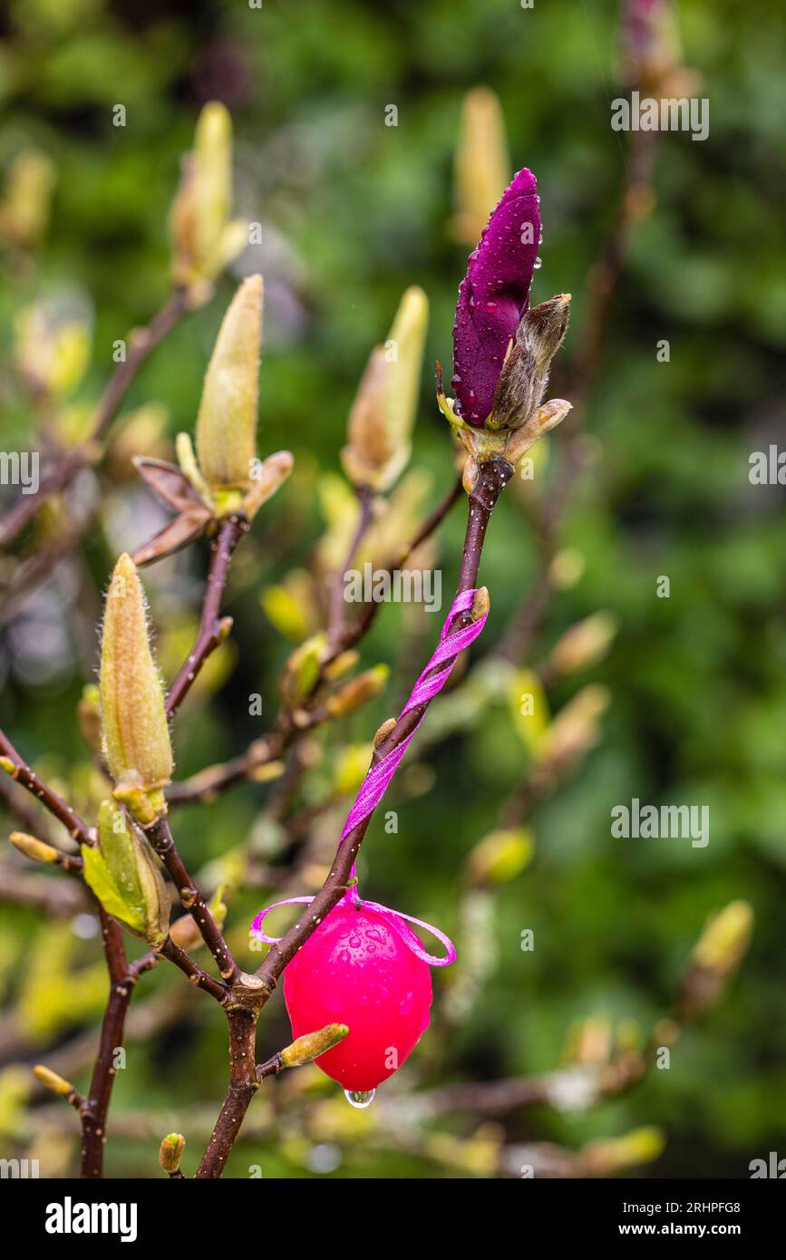 Raindrop drip dripping rain hi-res stock photography and images - Alamy