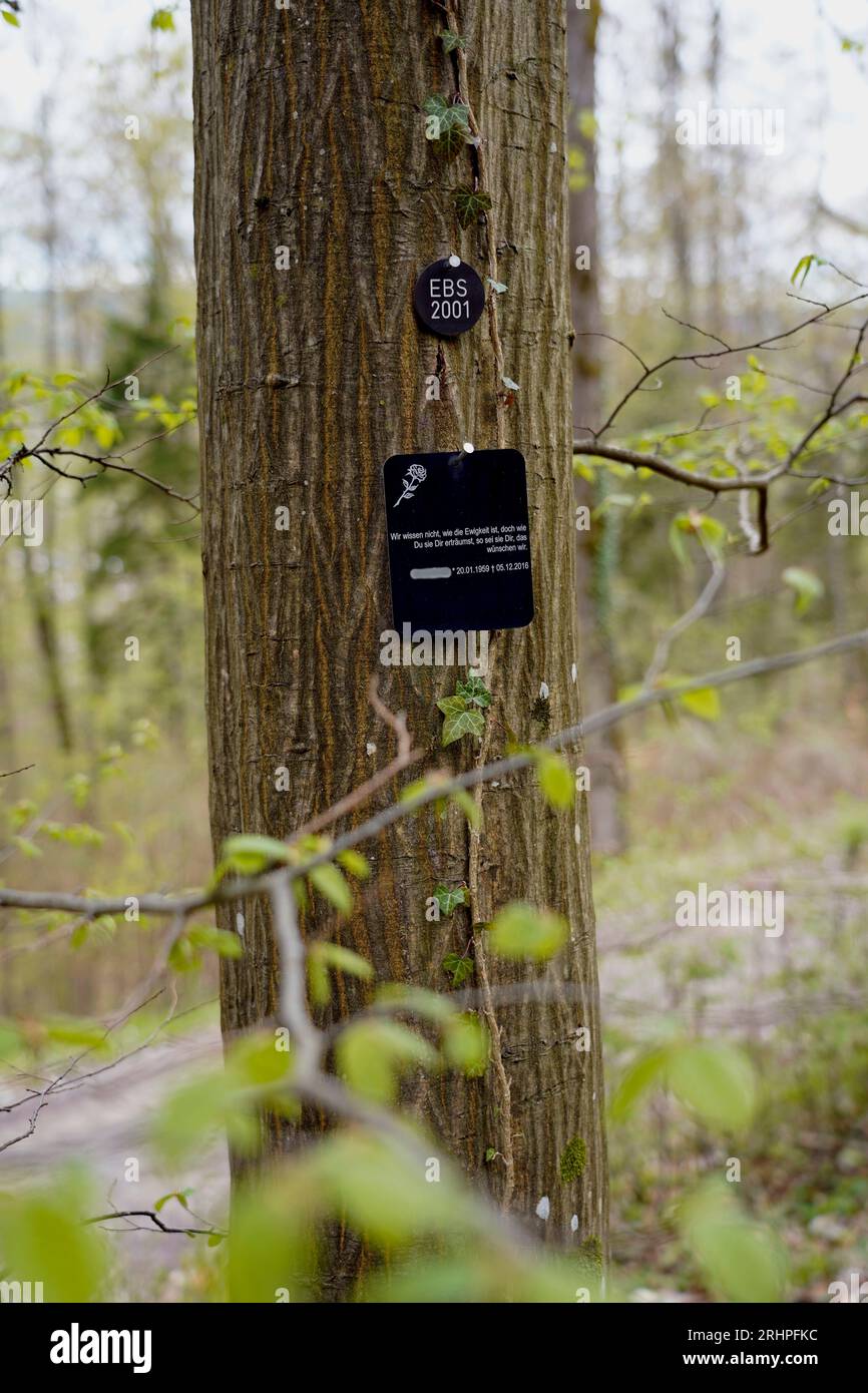 Germany, Bavaria, Upper Franconia, Franconian Switzerland, Pretzfeld ...
