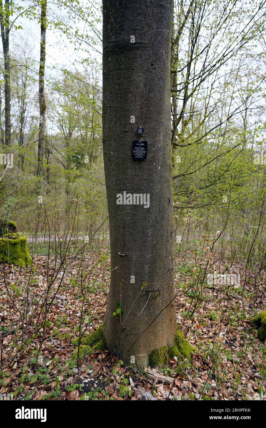 Burial alternatives hi-res stock photography and images - Alamy
