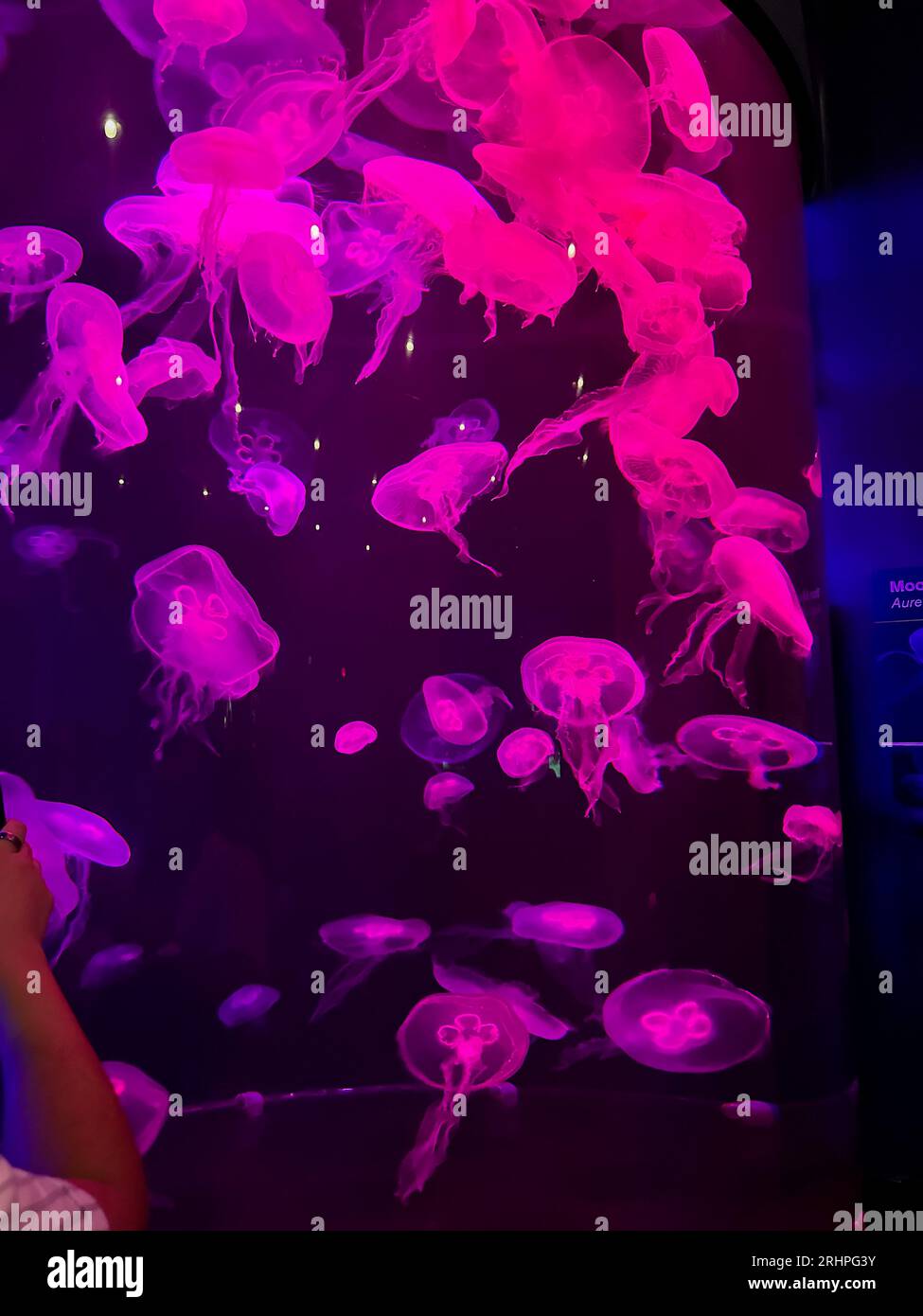 Parque arizona hi-res stock photography and images - Alamy