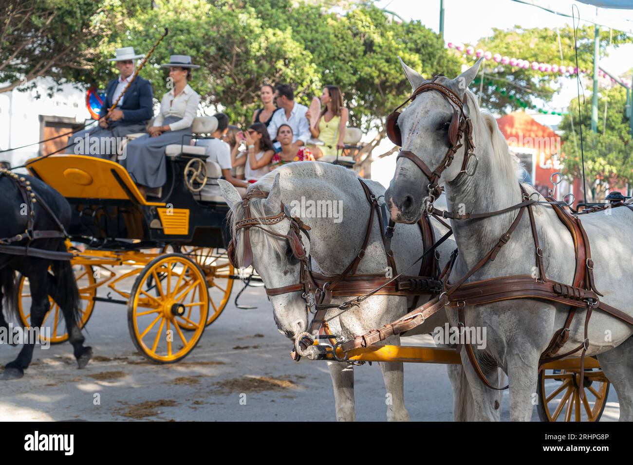 Celebrating Spanish culture, traditional horses dance in Malaga's ...