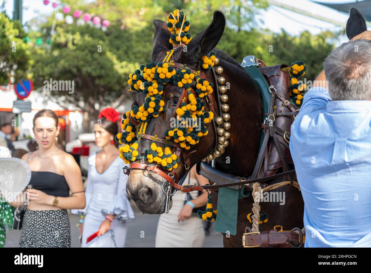 Celebrating Spanish culture, traditional horses dance in Malaga's ...