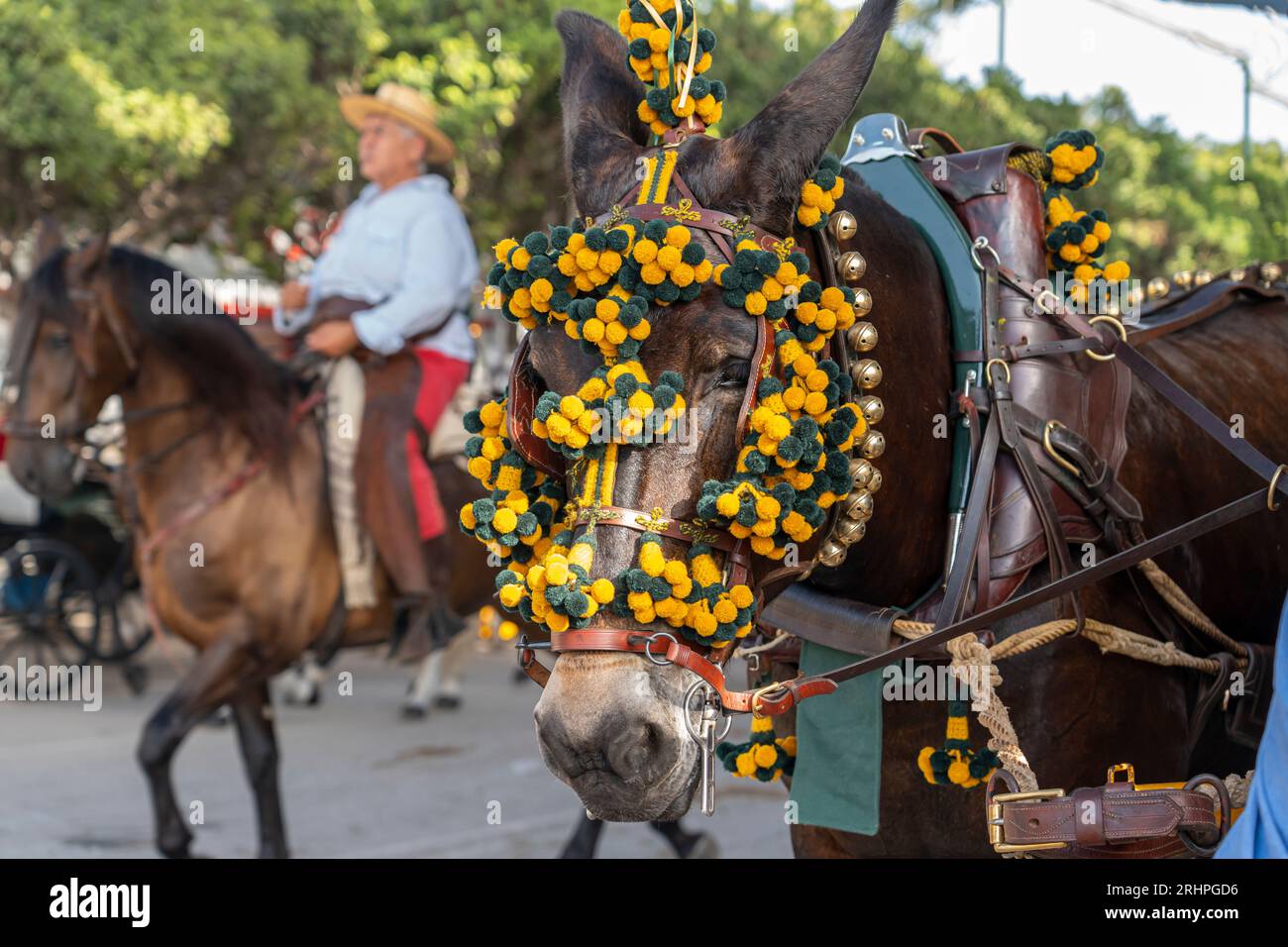 Celebrating Spanish culture, traditional horses dance in Malaga's ...