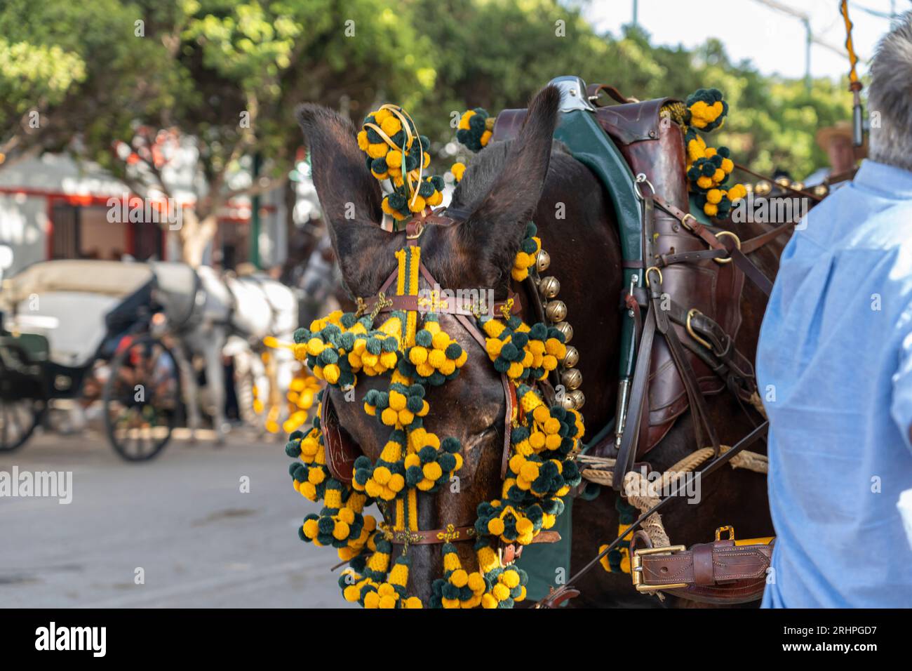 Celebrating Spanish culture, traditional horses dance in Malaga's ...
