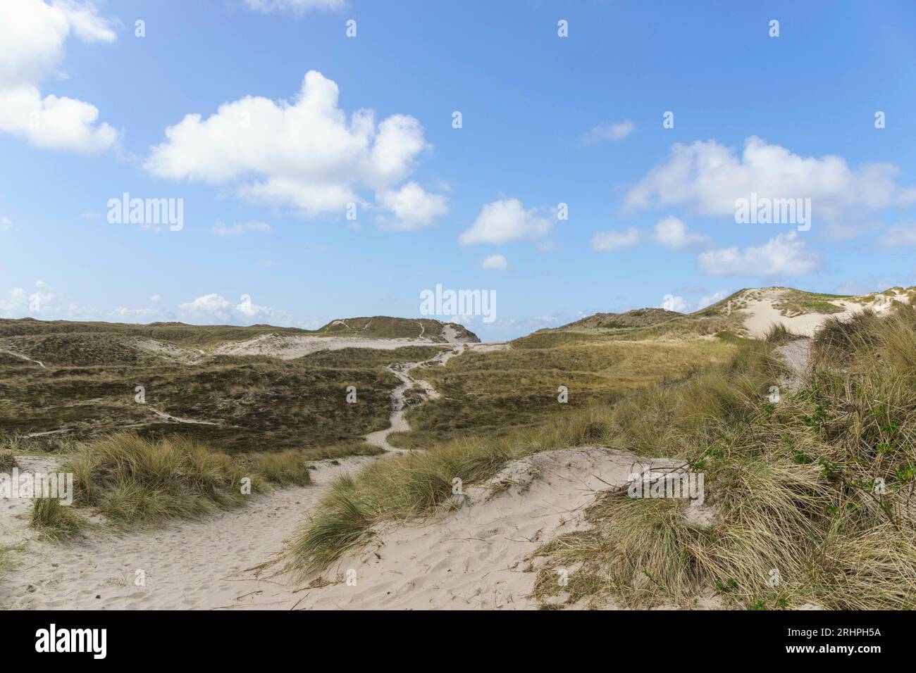 Wide view of a dune landscape in Hvide Sande in Denmark with blue sky ...