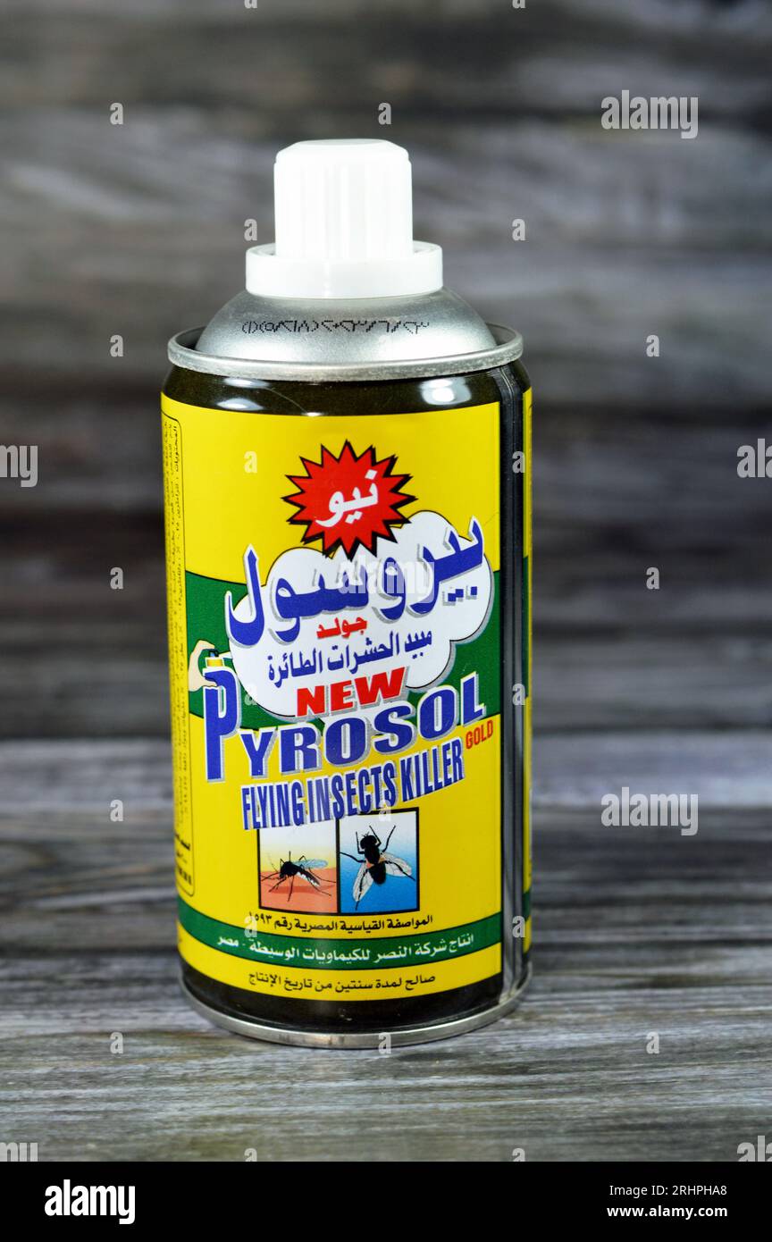 Cairo, Egypt, August 4 2023: New Pyrosol gold flying insect killer ...