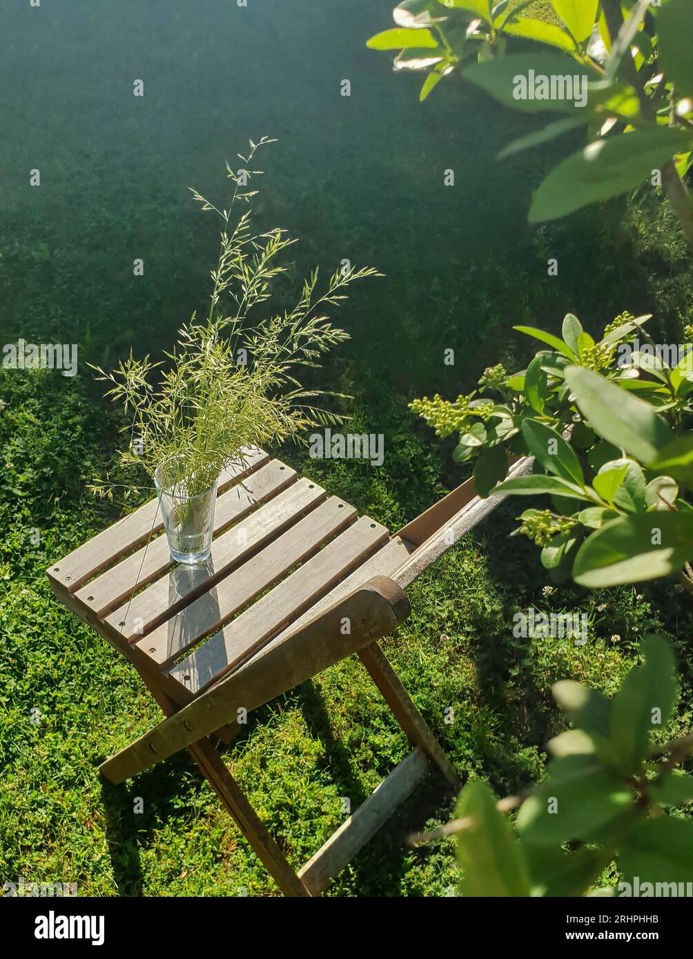 Wooden chair in garden, green background, sunlight, glass vase, grasses ...