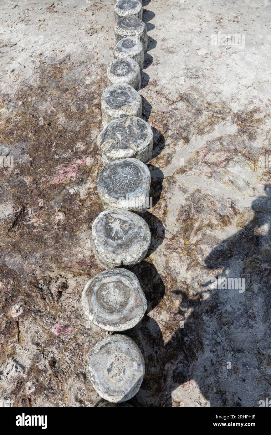 Baltic coastal waters hi-res stock photography and images - Alamy