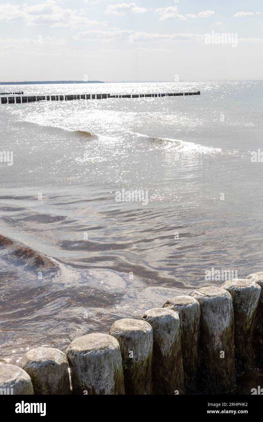 Germany, Baltic Sea, Markgrafenheide, water edge with groynes in ...