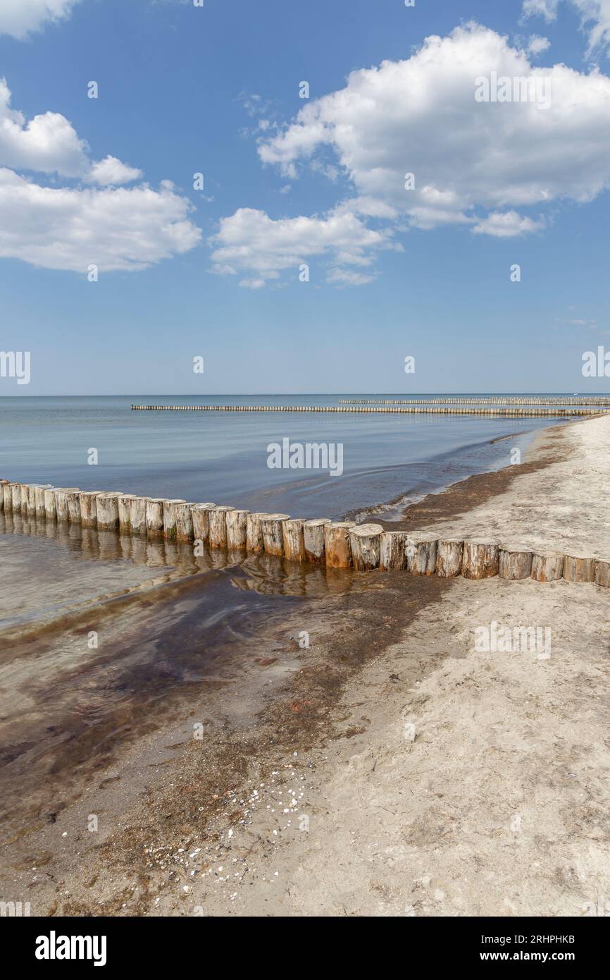 Germany, Baltic Sea, Markgrafenheide, white sandy beach and seaweed on ...